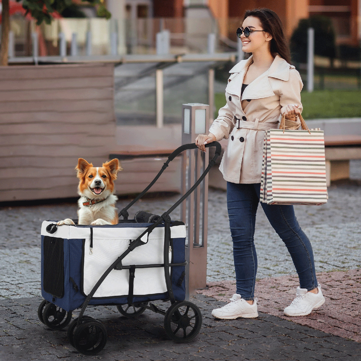 MoNiBloom 3-In-1 Pet Stroller With Detachable Carrier, Foldable Pet Dog ...
