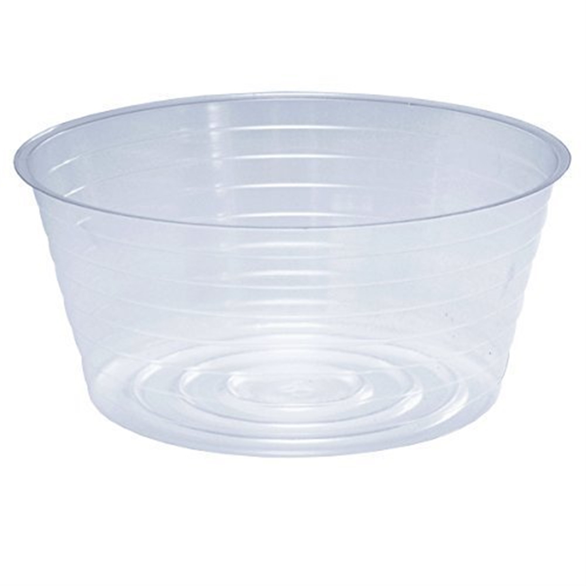 Rebrilliant Saucer | Wayfair