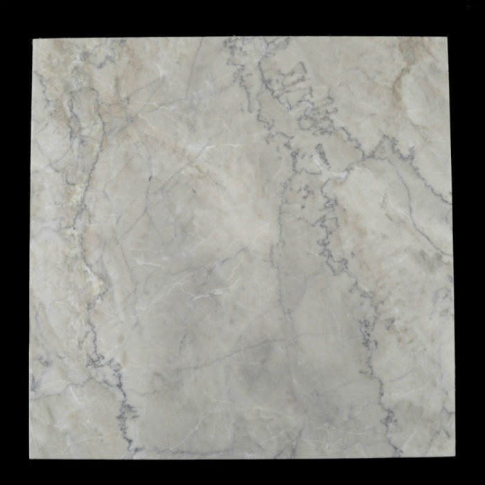 The Tile Square 12"x12" Marble Wall and Floor Tile | Wayfair
