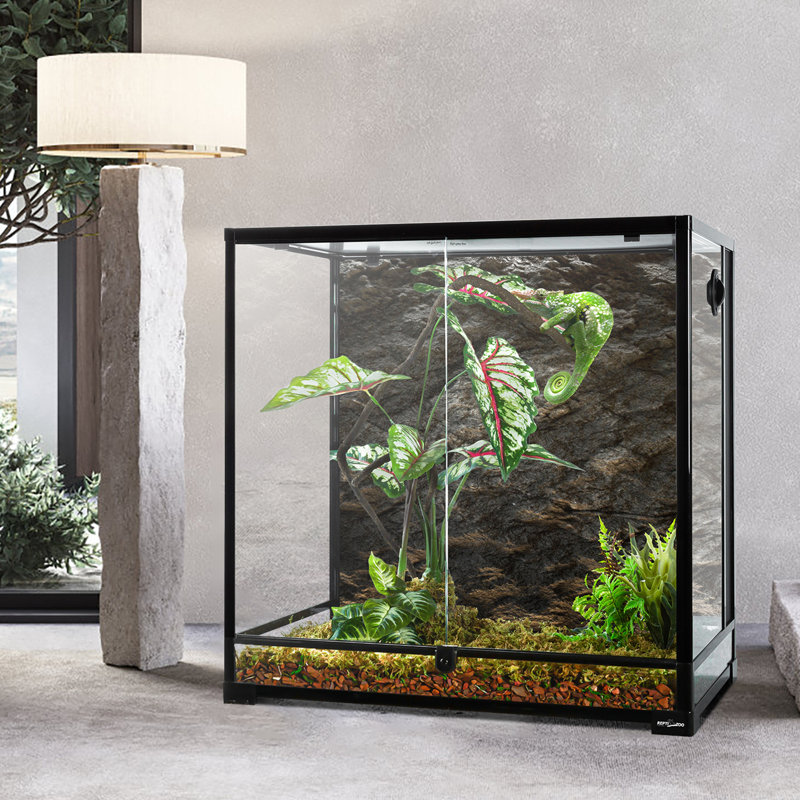 REPTIZOO 30'' x 18'' x 30'' Reptile Terrarium & Reviews | Wayfair