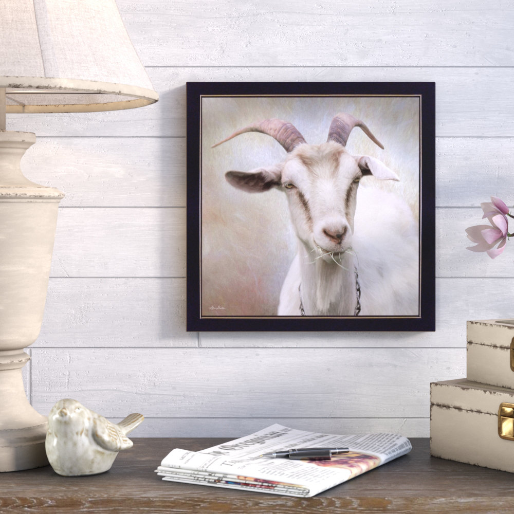 August Grove® Up Close Goat Framed Wall Art for Living Room, Home Wall ...