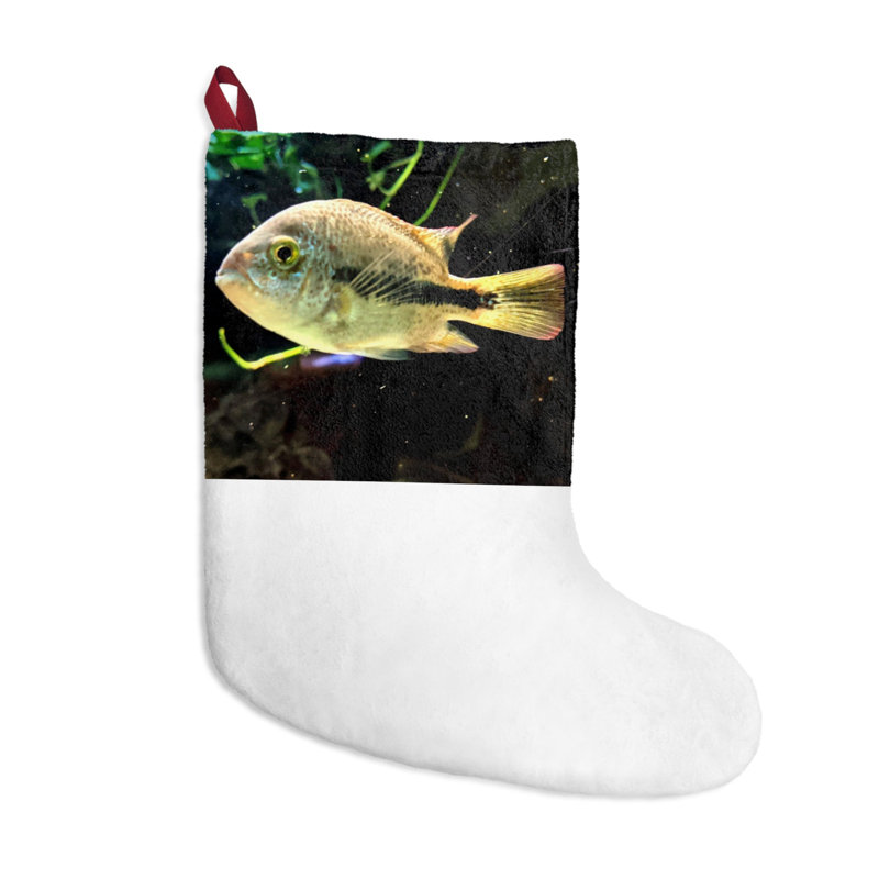 The Holiday Aisle® Fish Christmas Stocking | Wayfair