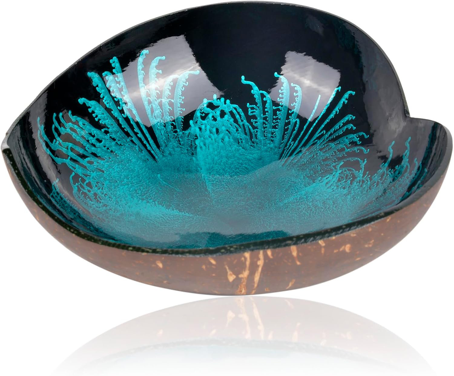 Ivy Bronx Coconut Bowls Decorative Candy Dish - Heart Acai Bowl ...