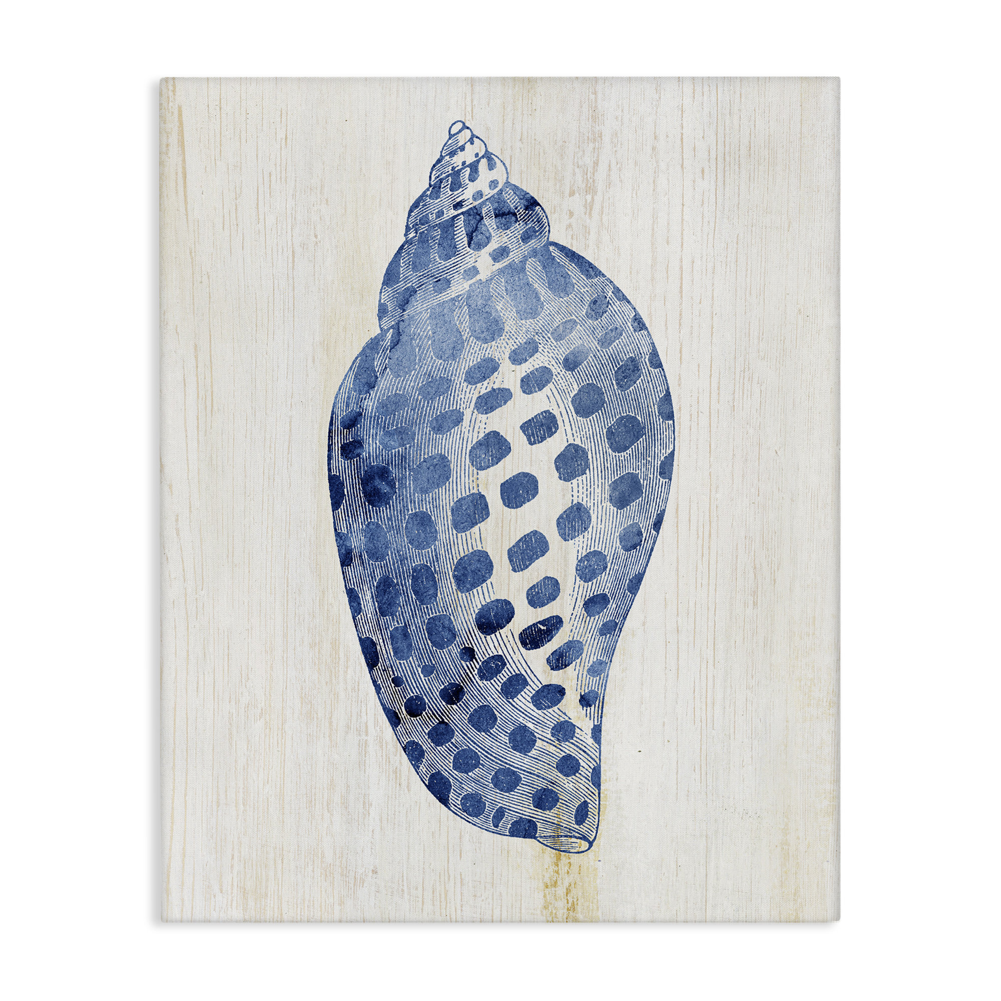 Ophelia & Co. Spotted Blue Cowrie Shell Canvas, design by Susan Arnot ...