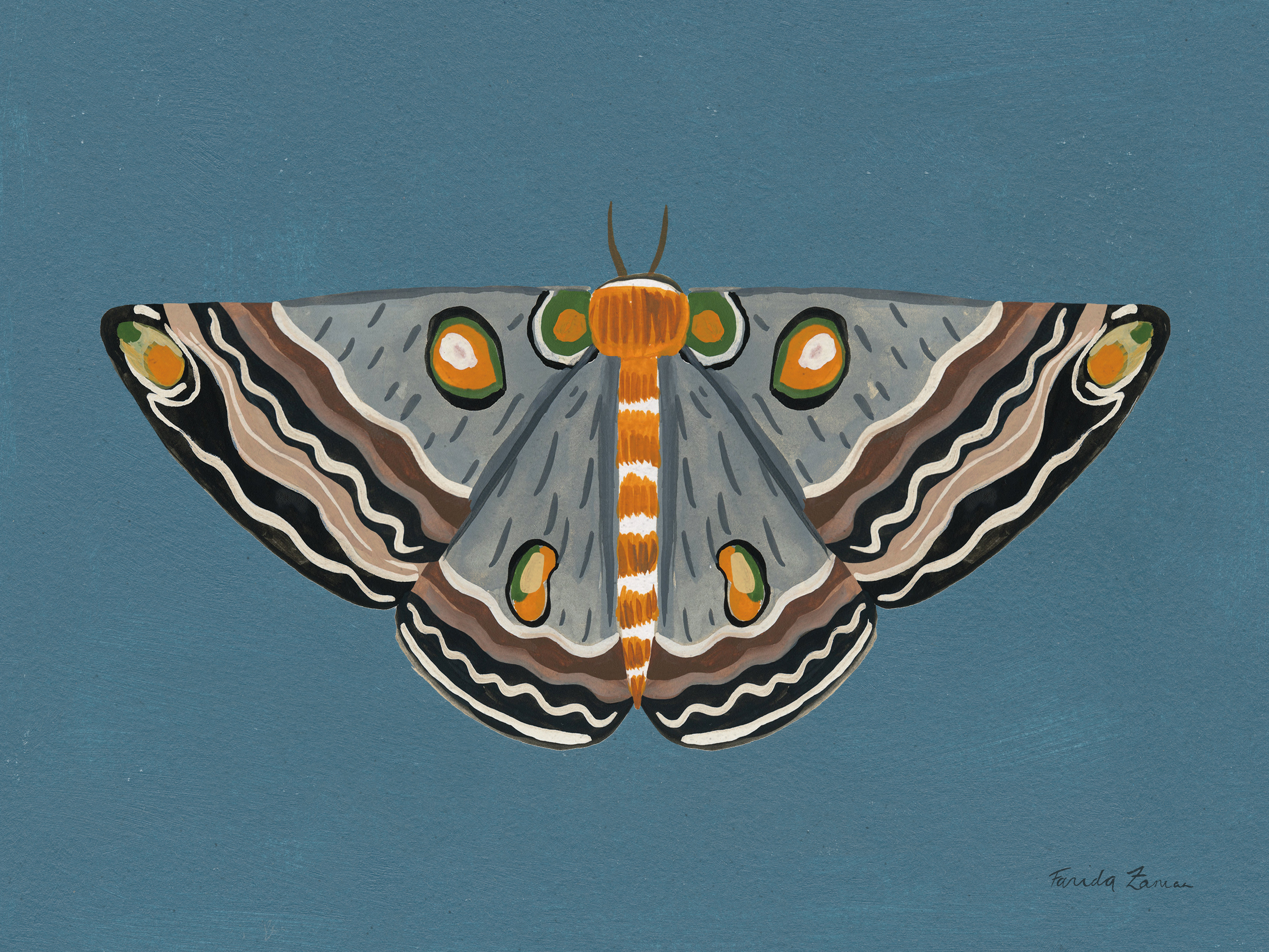 Ebern Designs Lillyann " Moth I " by Farida Zaman | Wayfair