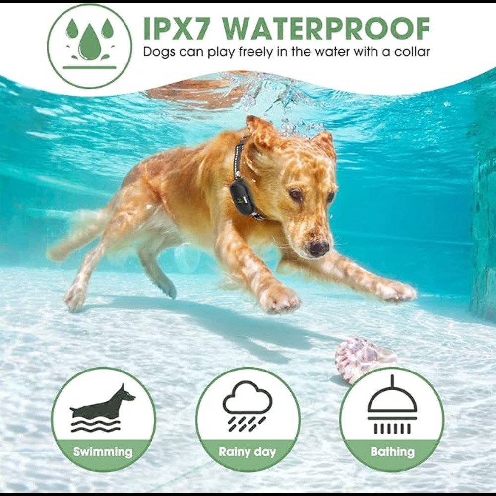 Invenitiah Portable Static Dog Training Collar | Wayfair