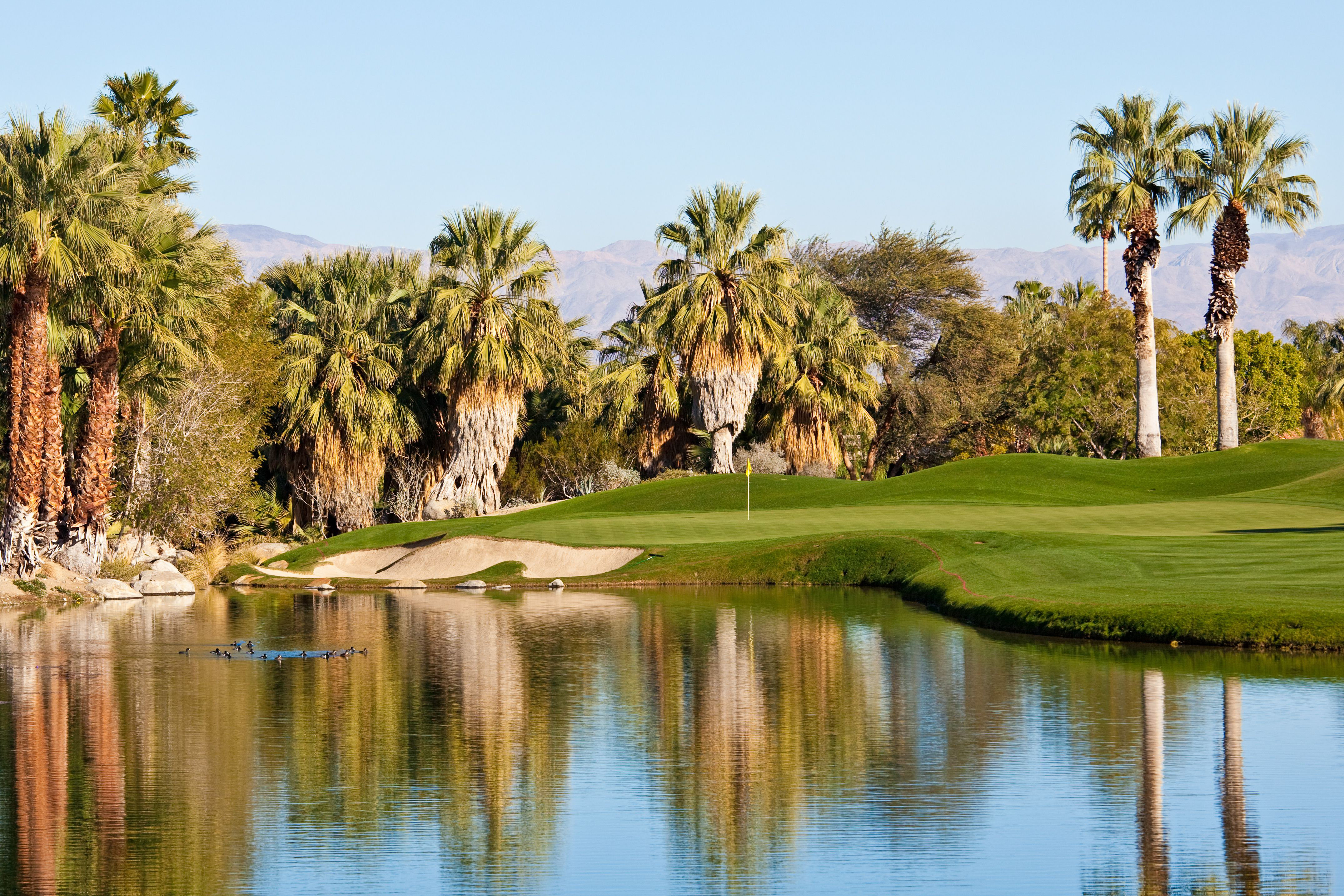 Bay Isle Home™ Vasillios Beautiful Desert Golf Course by - Wrapped ...