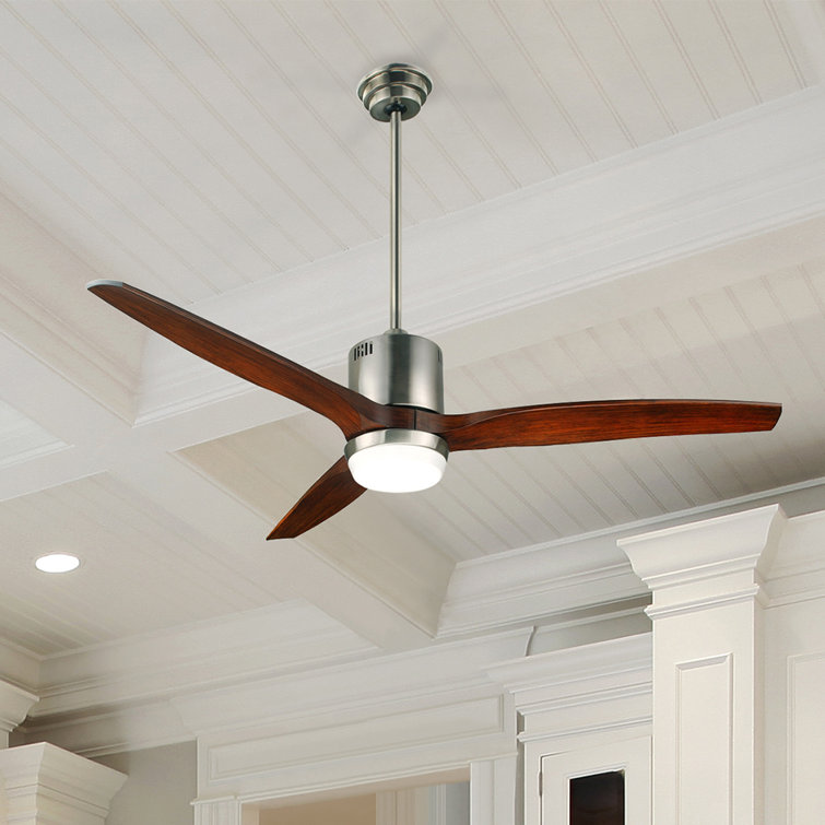 Orren Ellis Thrush 52 Inch Led Ceiling Fan - 3 Blade - Stainless Steel ...