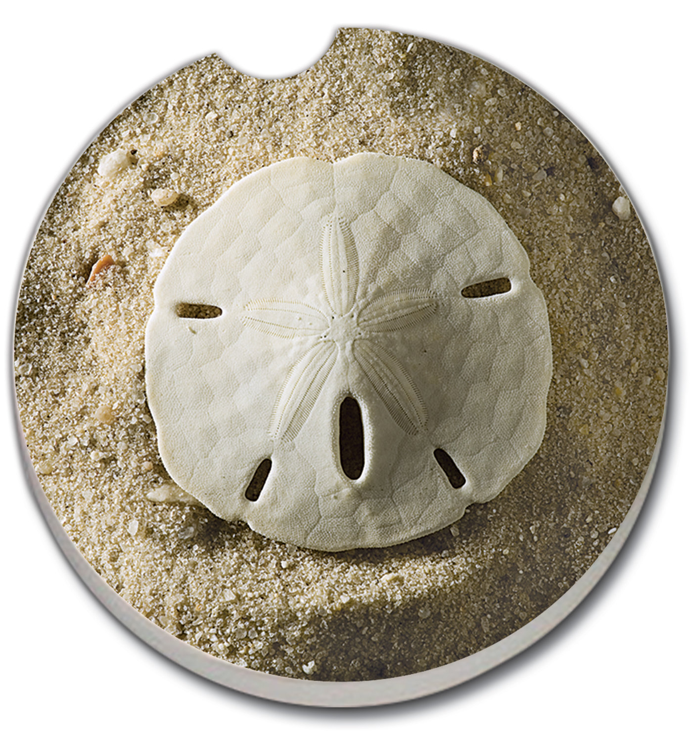 Highland Dunes Sand Dollar on Sand Absorbent Stone Car Coaster | Wayfair