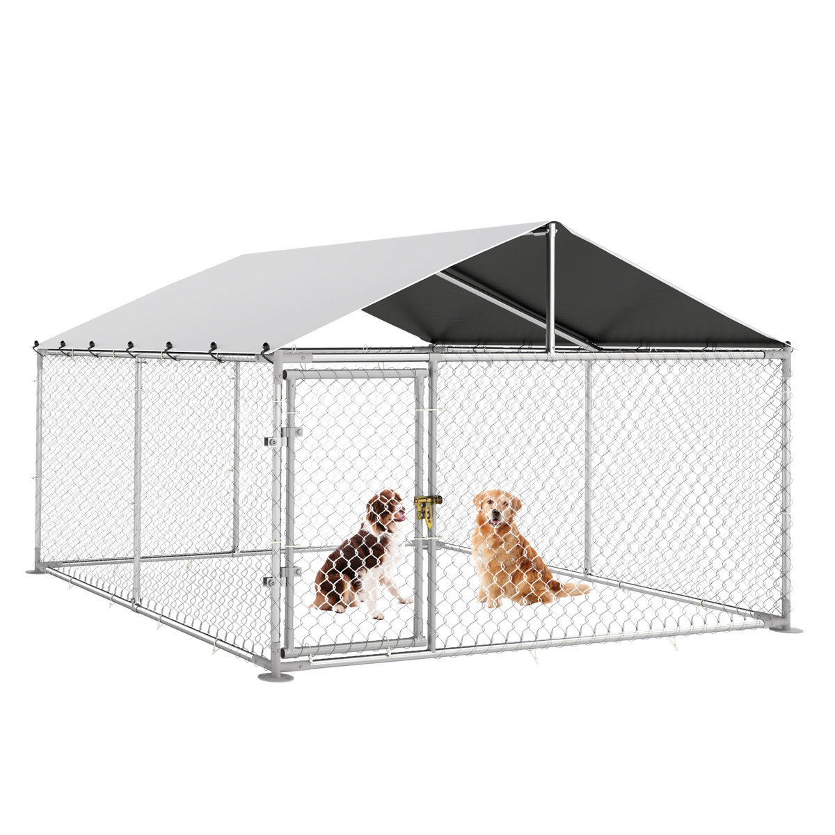 Balconera Outdoor Dog Pen & Reviews | Wayfair