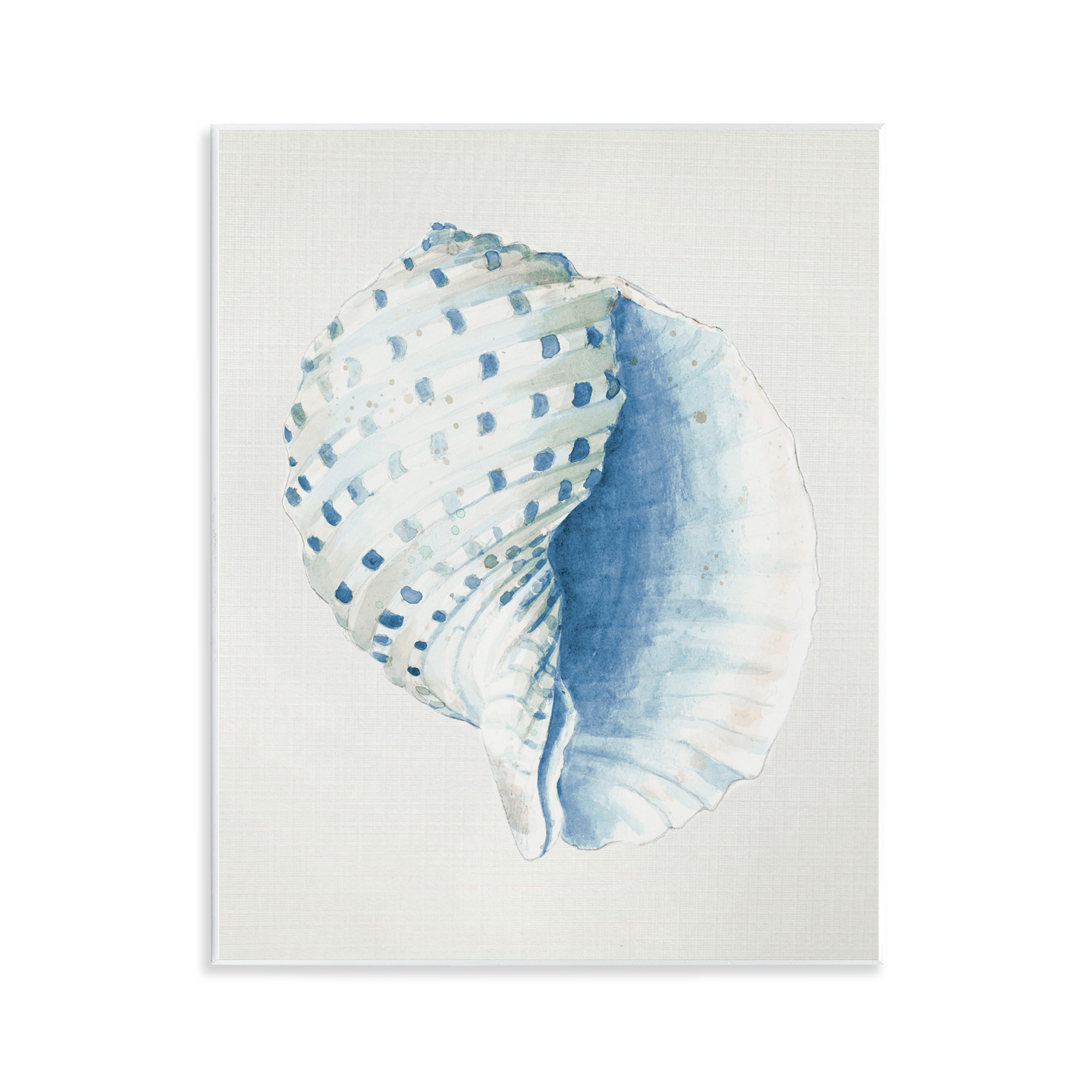 Highland Dunes Spotted Conch Shell Wall Plaque Art by Patricia Pinto ...
