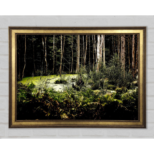 Union Rustic Swamp In The Depth Of The Forest - Single Picture Frame ...