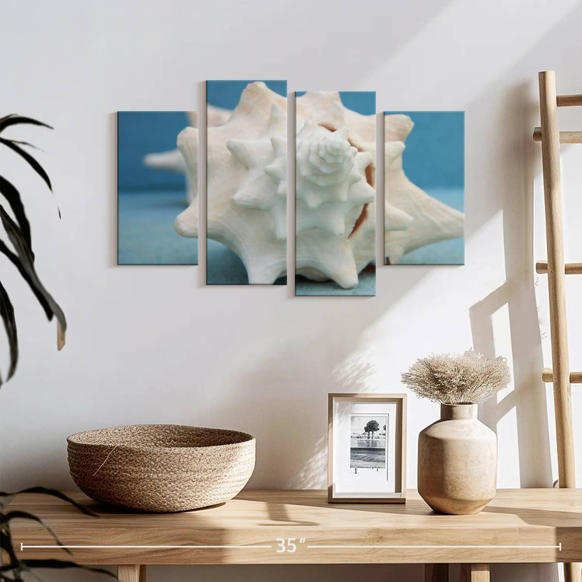 Elephant Stock White Conch Seashell | Wayfair