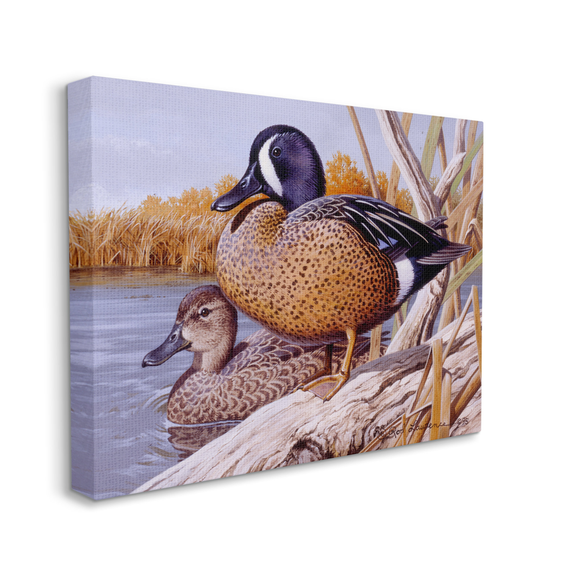 August Grove® Ducks At Pond's Edge On Canvas by Rod Lawrence Print ...