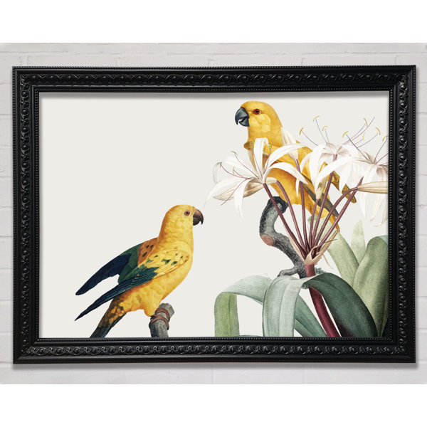 Bright Star Two Yellow Parrots - Single Picture Frame Art Prints ...