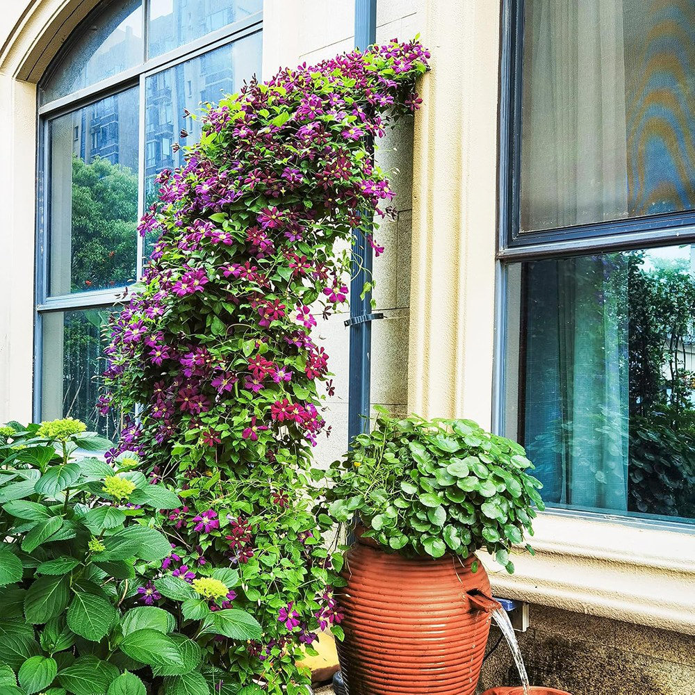 MAXAYA 2 Half Garden Arch Trellis, Metal Garden Arbor, 6... | Wayfair