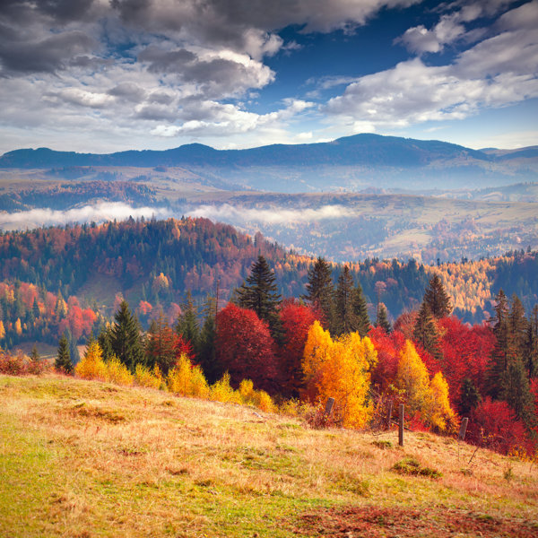 Alpen Home Herington Colorful Autumn Morning In The Carpathian ...