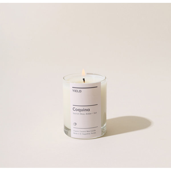 Yield Coquina Scented Jar Candle | Wayfair
