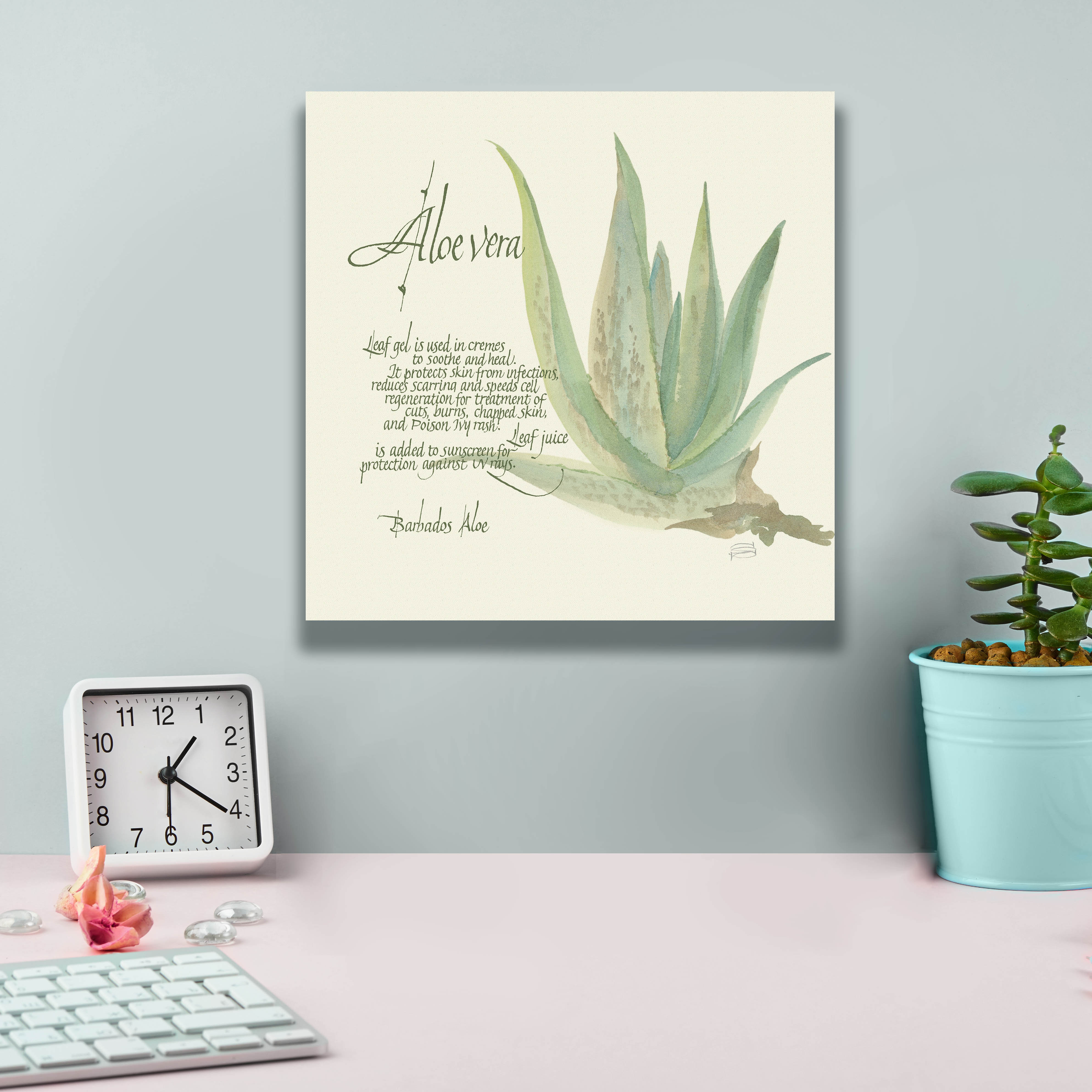 Epic Graffiti 'Aloe Vera' by Chris Paschke Canvas Wall Art | Wayfair