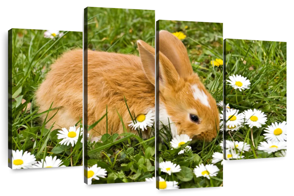 Ebern Designs Daisies And Rabbit - Wayfair Canada