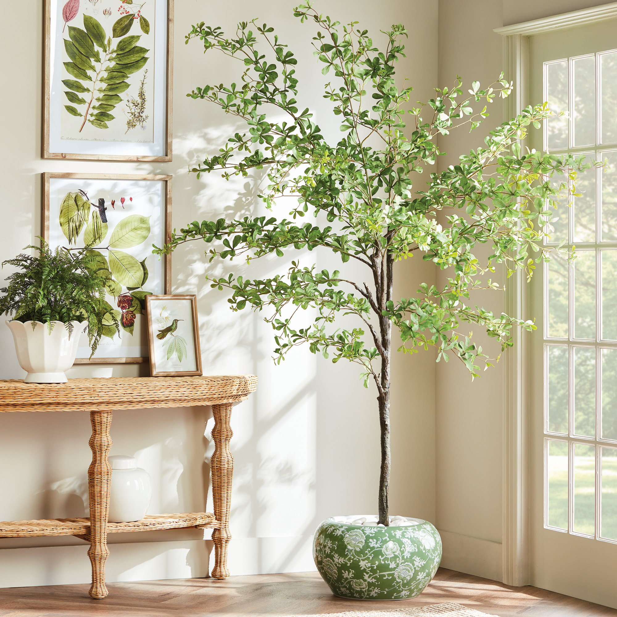 Dakota Fields SHADY LADY OLIVE TREE DROP-IN 90 inch | Wayfair