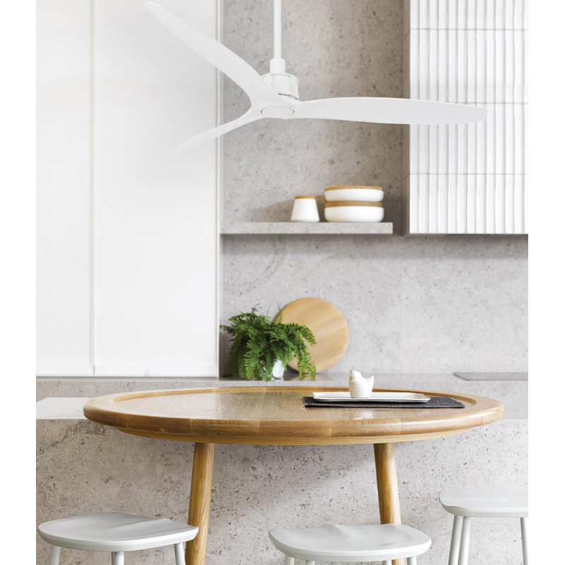 AllModern Zelda 52'' Ceiling Fan & Reviews | Wayfair