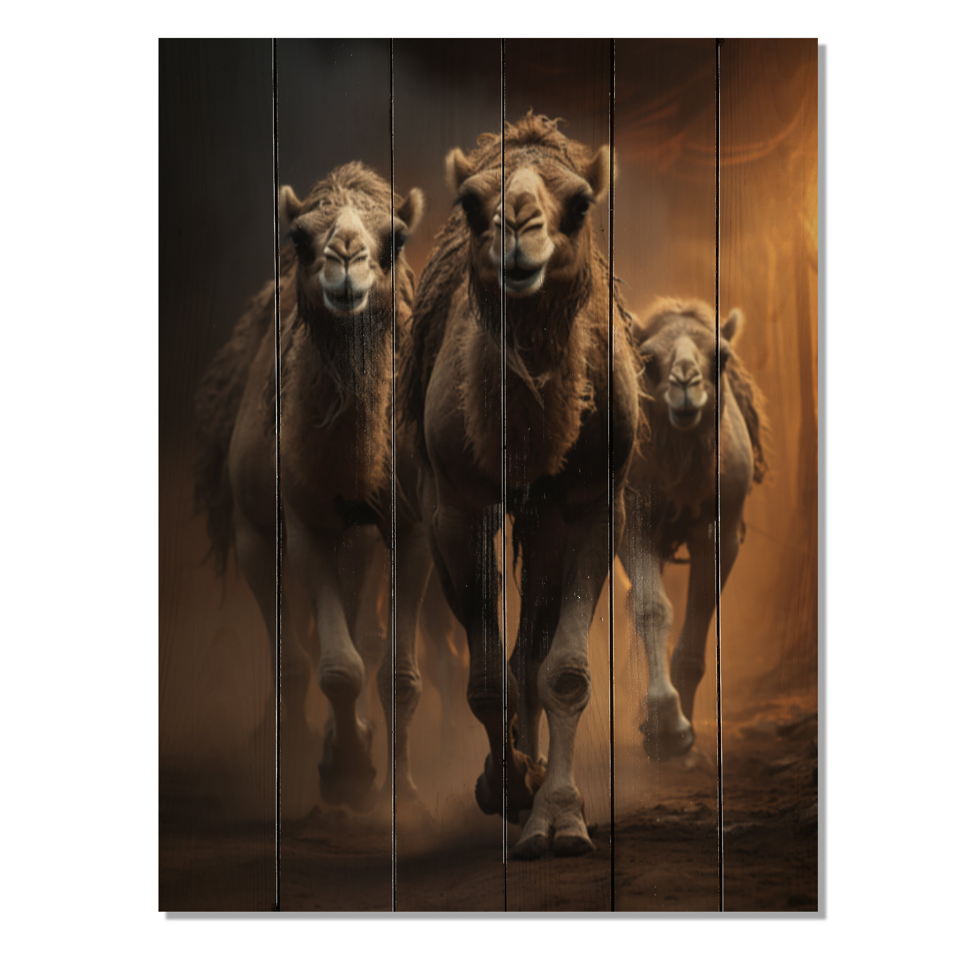 Foundry Select Camels Desert Symphony - Animals Print on Natural Pine ...