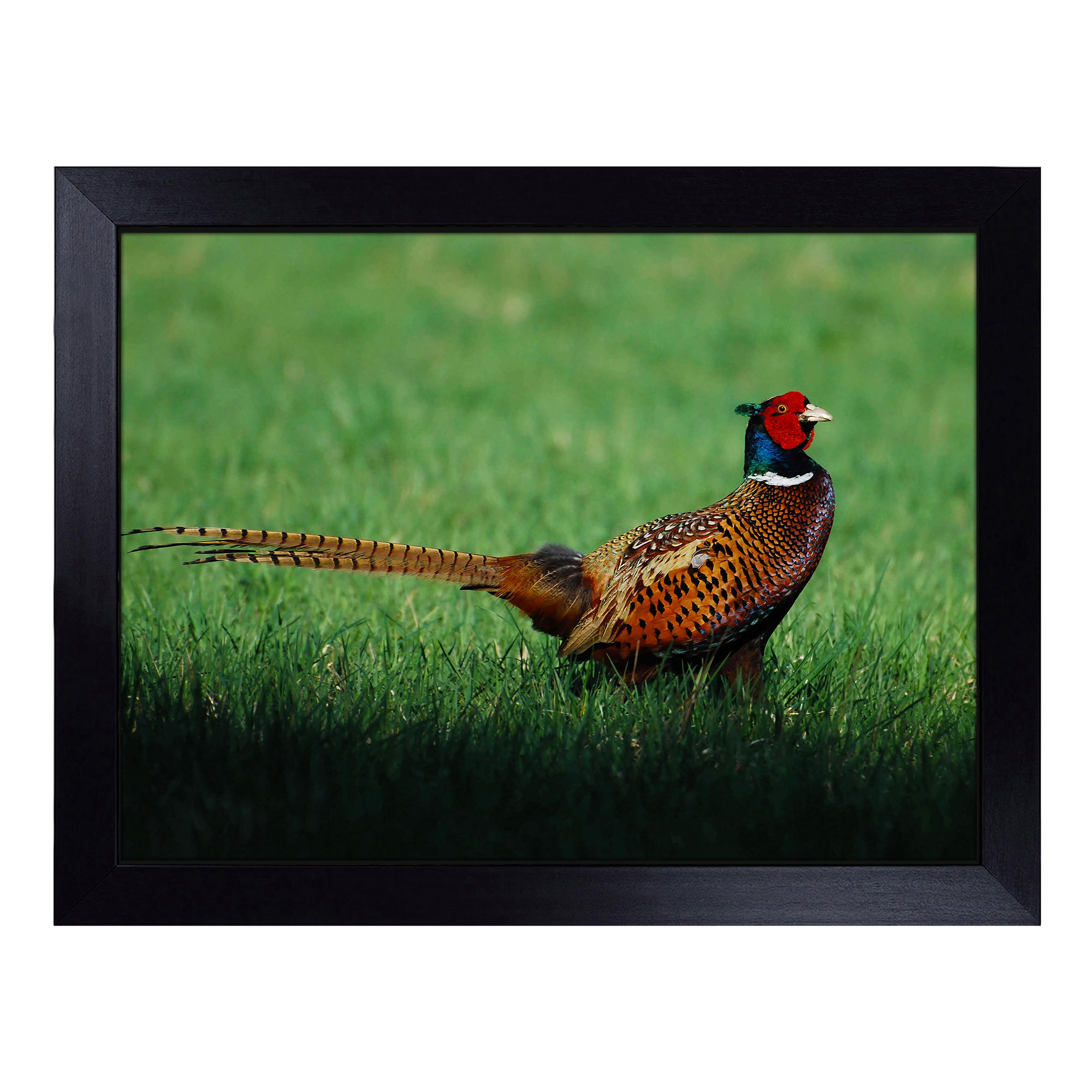 17 Stories Pheasant Bird Lap Tray with Cushion | Wayfair.ie