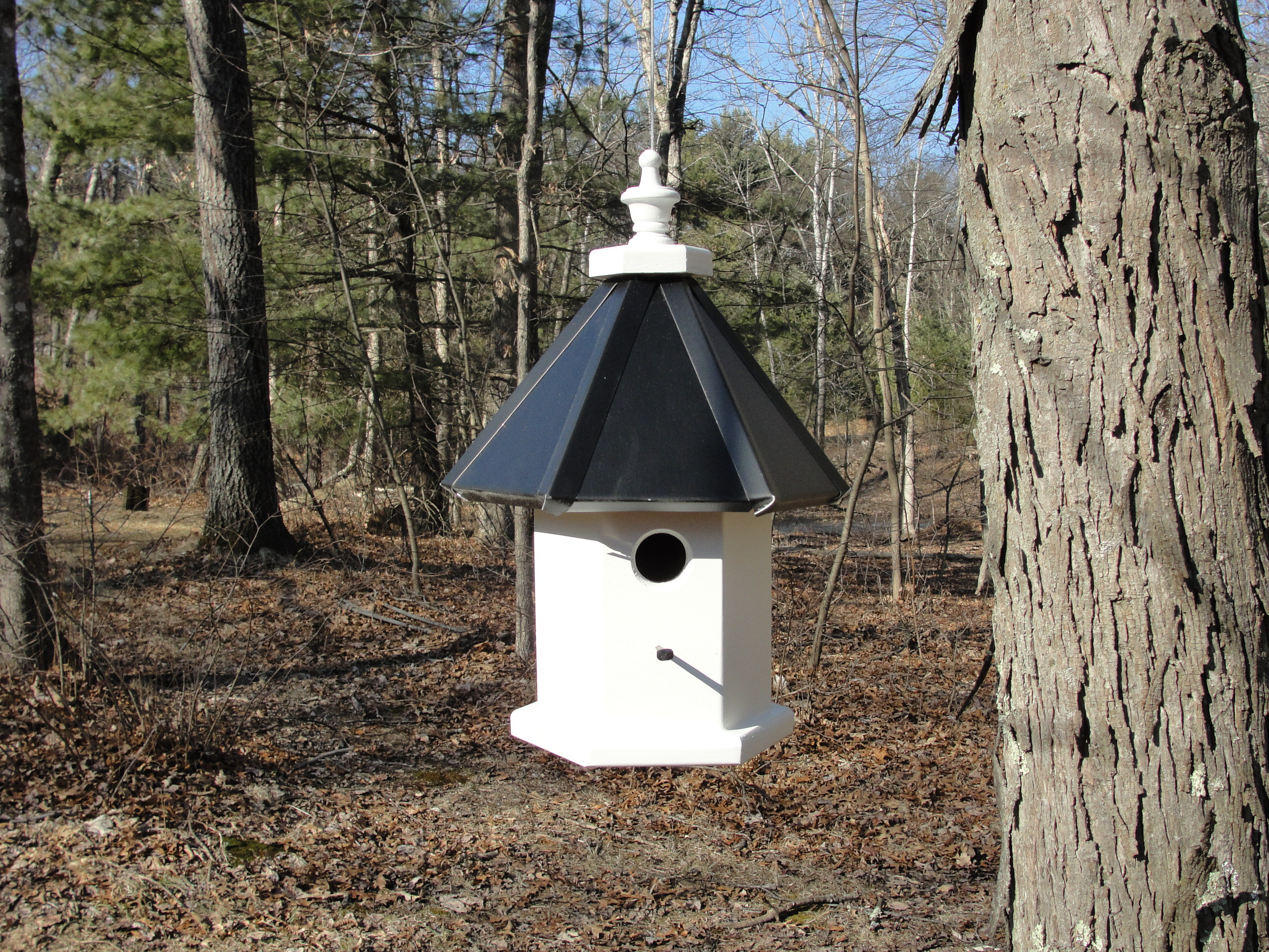 Charlton Home® Almar Hanging Loft 16 in x 11 in x 11 in Birdhouse ...