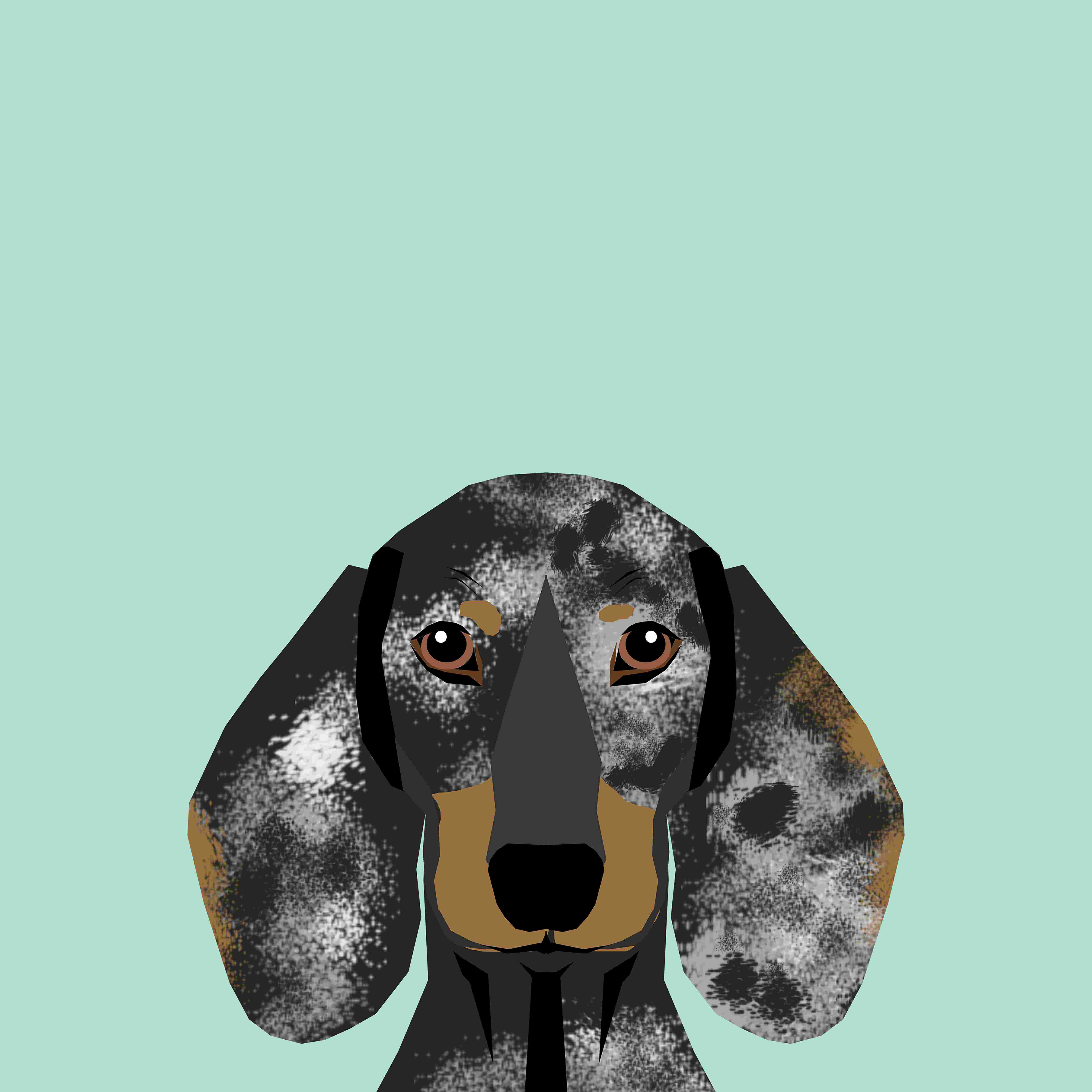 Winston Porter Doxie Dachshund Merle - Wrapped Canvas Graphic Art ...