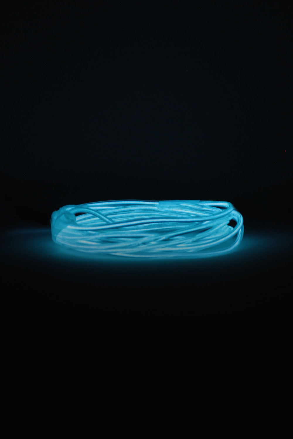 The Holiday Aisle® 6' Neon String Light - Wearable, Multi Light Options ...