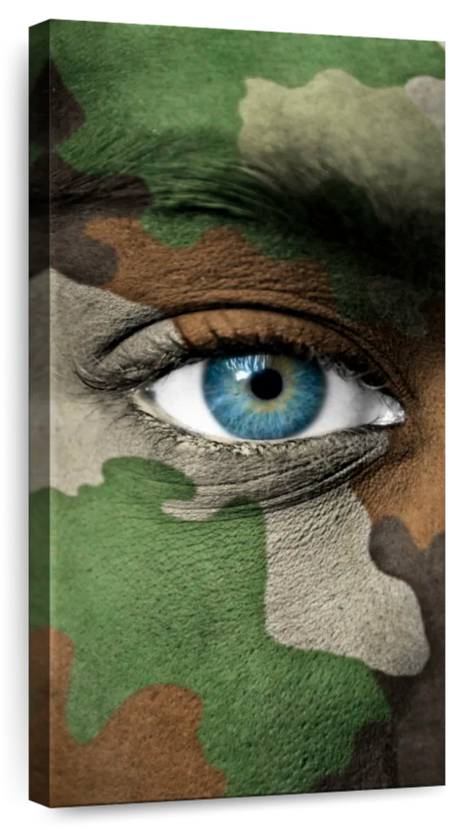 Ebern Designs Military Face Camouflage - Wayfair Canada