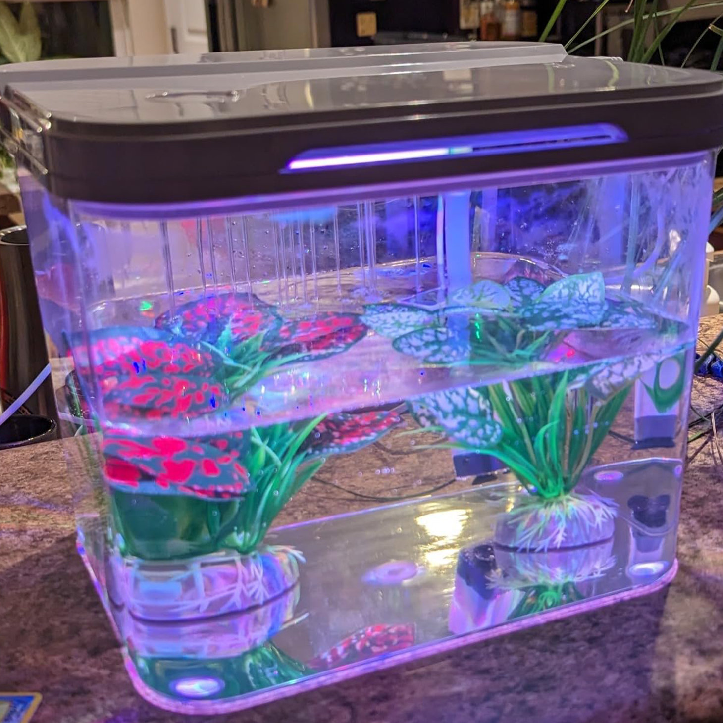 Tucker Murphy Pet™ 1.8-Gal Aquarium Kit,Lightweight & Shatter-Resistant ...