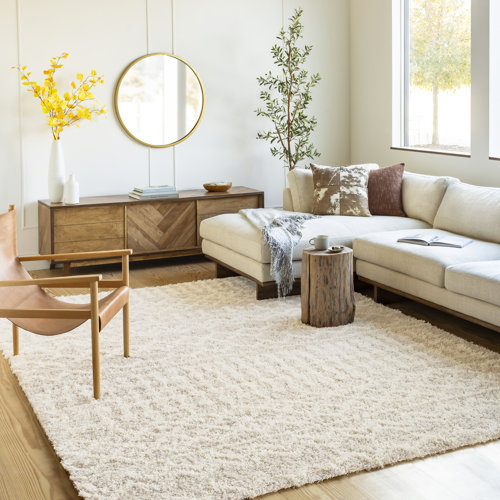 White Area Rugs You'll Love | Wayfair