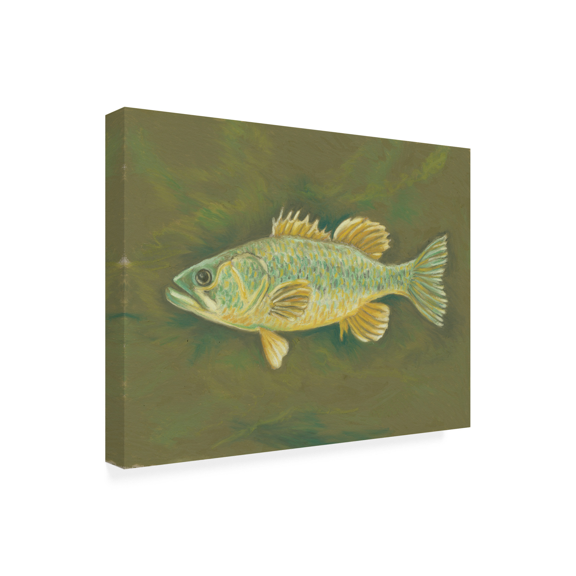 Highland Dunes Hudie Andrea Strongwater Fish 1 Canvas Art - Wayfair Canada