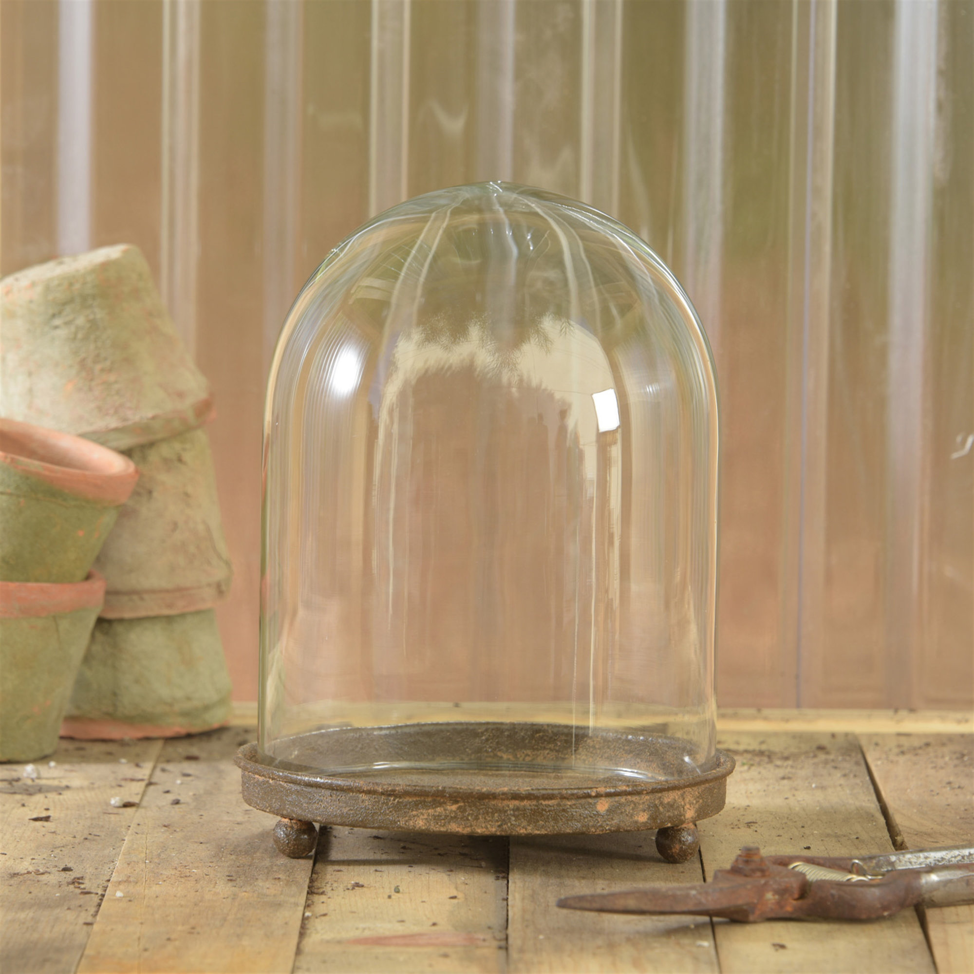 Williston Forge Kenilworth Cloche Vitrine | Wayfair