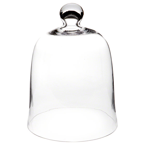 Latitude Run® Bettzy Display Dome Cloche | Wayfair