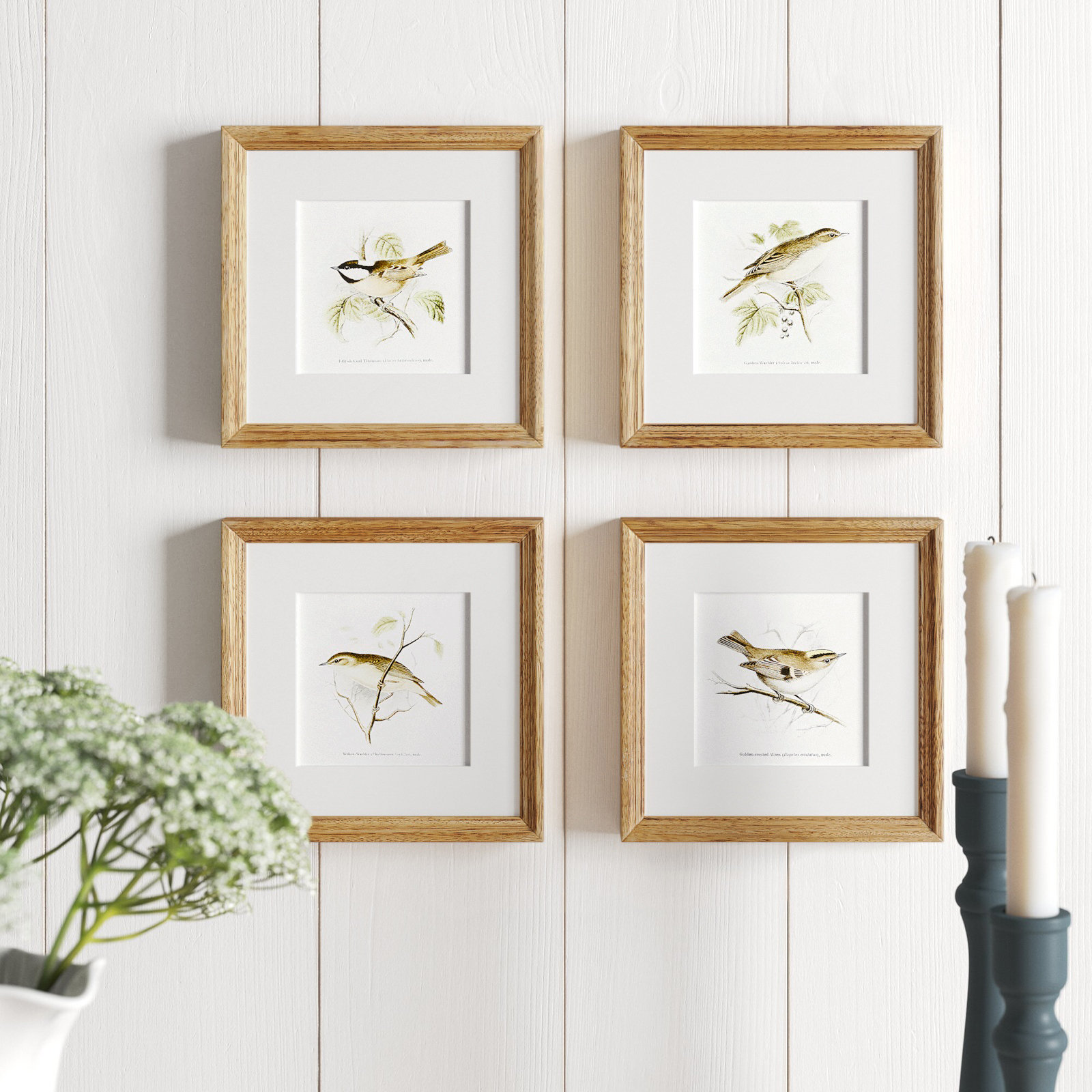 Lark Manor Saltillo Perching Bird - 4 Piece Picture Frame Painting Set ...
