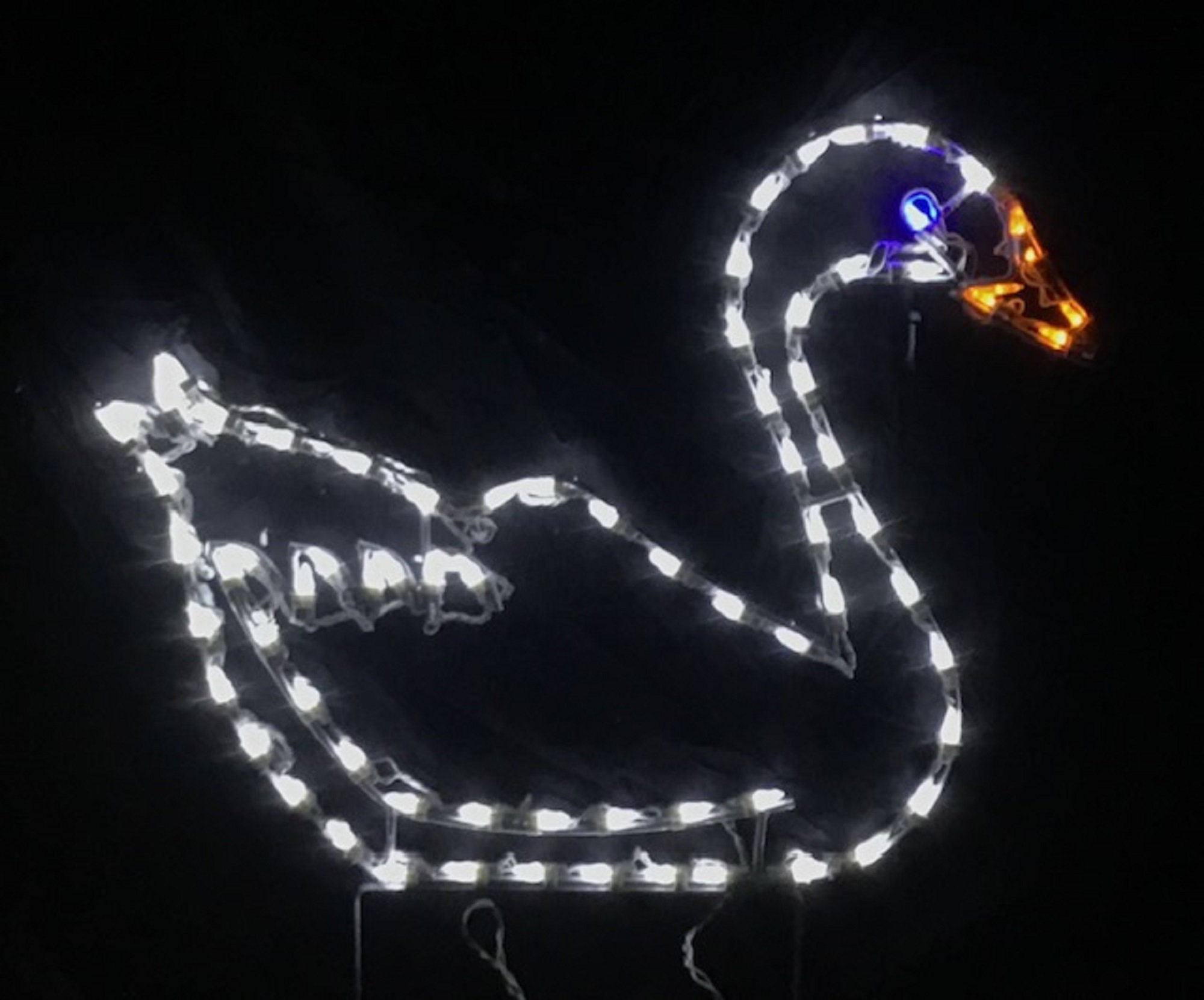 Lori's Lighted D'Lites Graceful Swan Spring Nautical Lighted Display ...