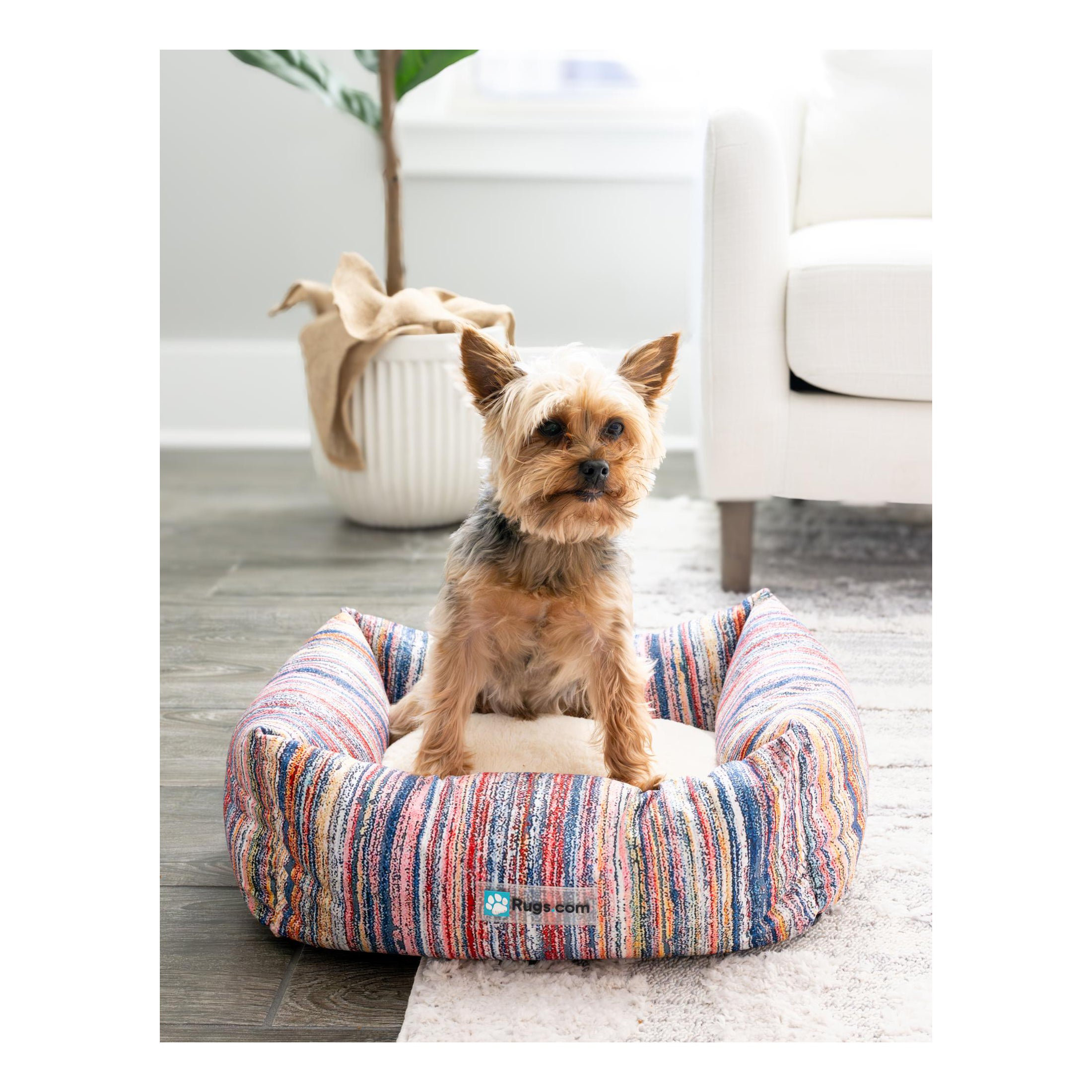 Rugs.com Topaz Premium Pet Bed Rug - Wayfair Canada