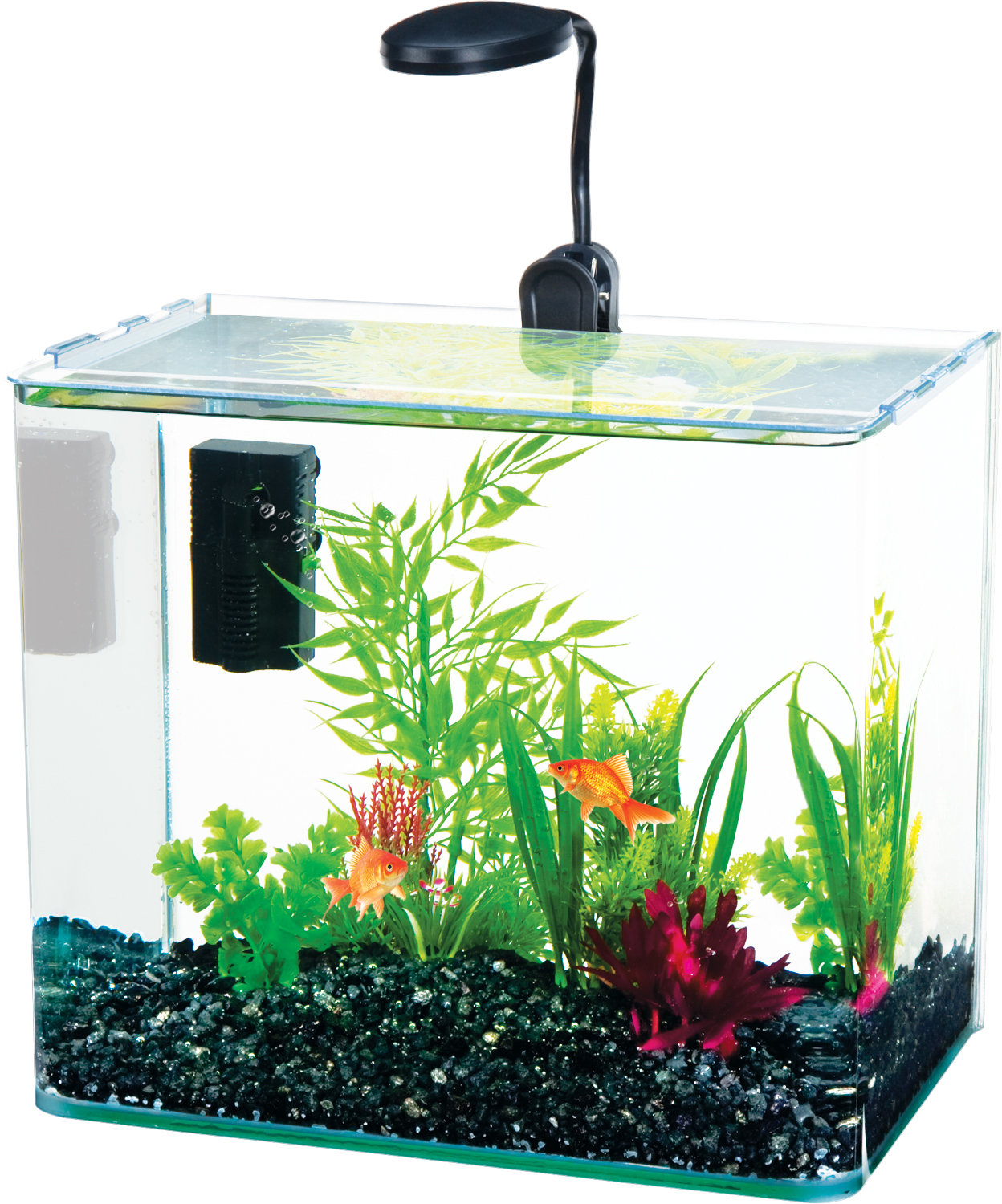 Penn Plax Radius Rectangle Nano Aquarium Kit – Includes LED Light ...
