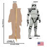 Advanced Graphics Stormtrooper Sergeant (Star Wars IX) Cardboard ...