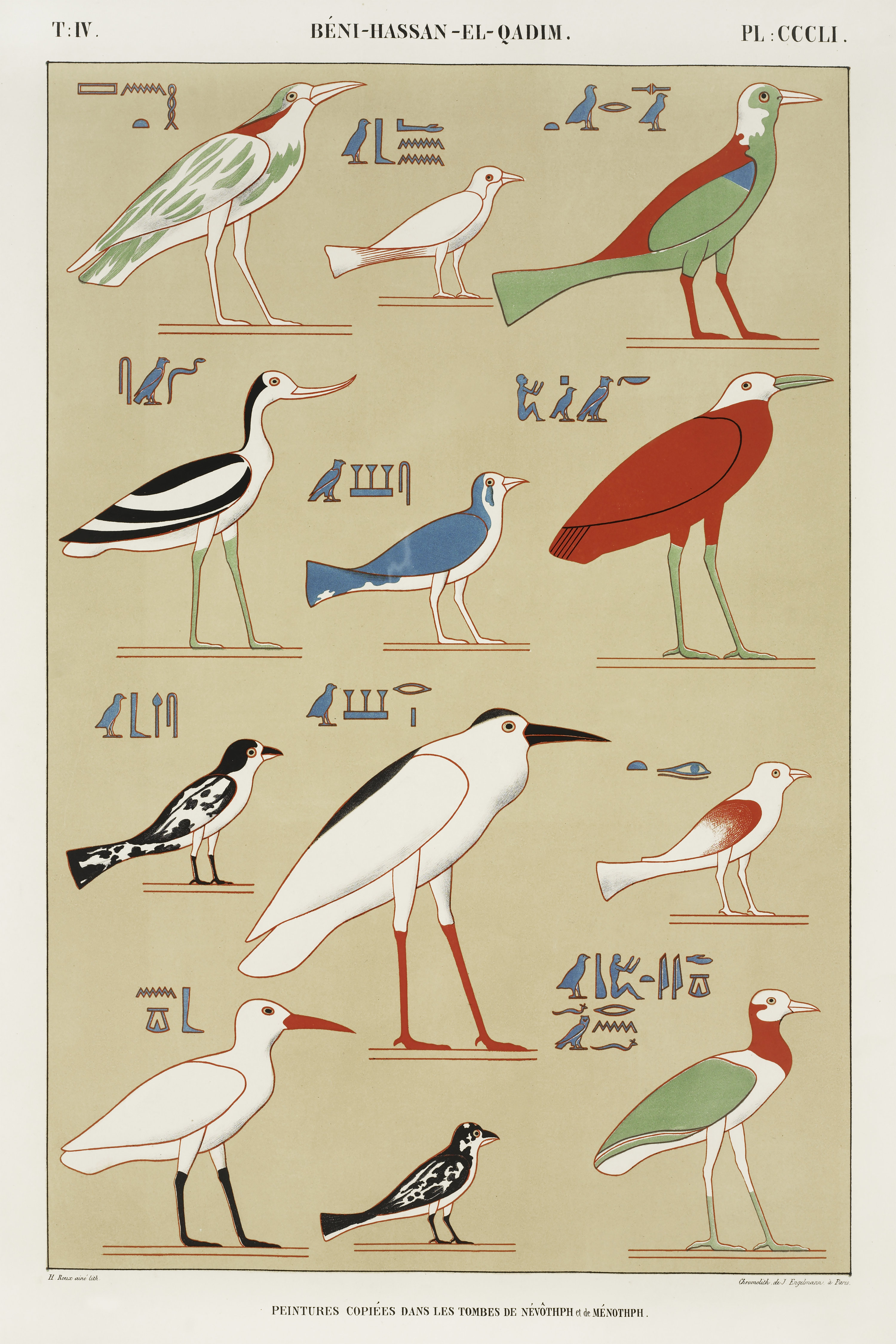 Winston Porter Laylana Egyptian Bird Charts II On Canvas by Jean ...