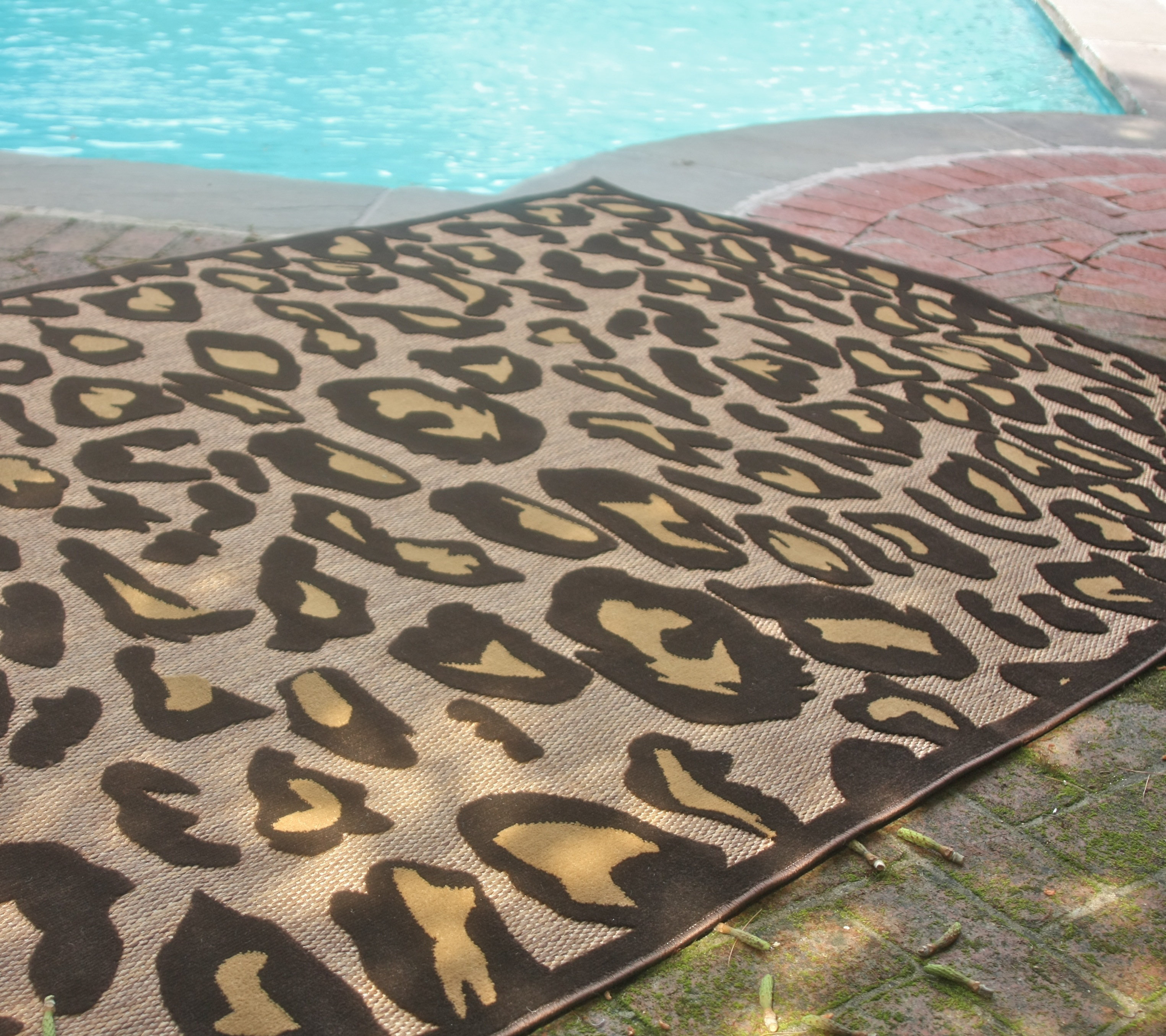 Hokku Designs Cammack Leopard Tan Chocolate Rug | Wayfair