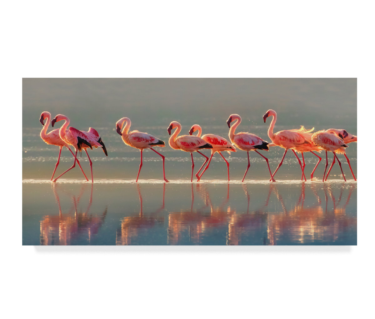 East Urban Home Flamingo Walk by Phillip Chang - Photograph Print on ...