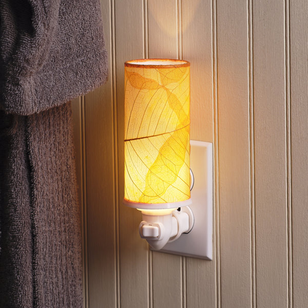Eangee Home Design Cylinder Night Light & Reviews | Wayfair