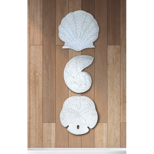 Rosecliff Heights 3 Piece Shells Wall Décor Set & Reviews | Wayfair