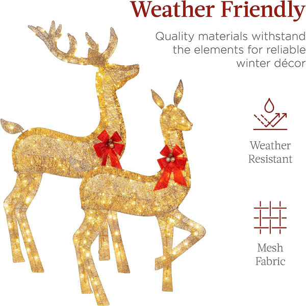 The Holiday Aisle® 3-Piece Lighted Christmas Deer Set Outdoor Yard ...