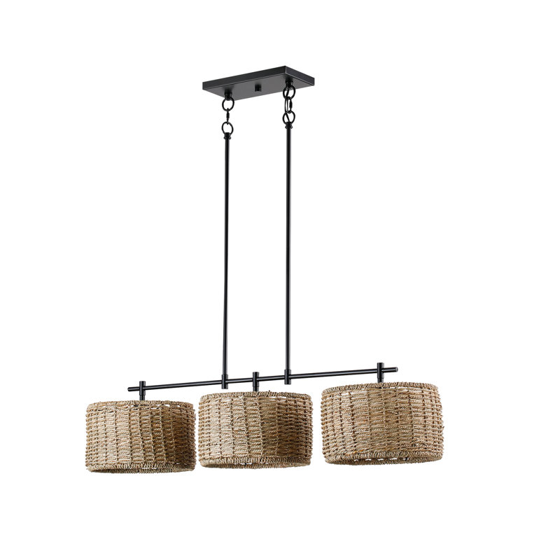 Bayou Breeze 3-Light Modern Farmhouse Black Finish Drum Chandelier With ...
