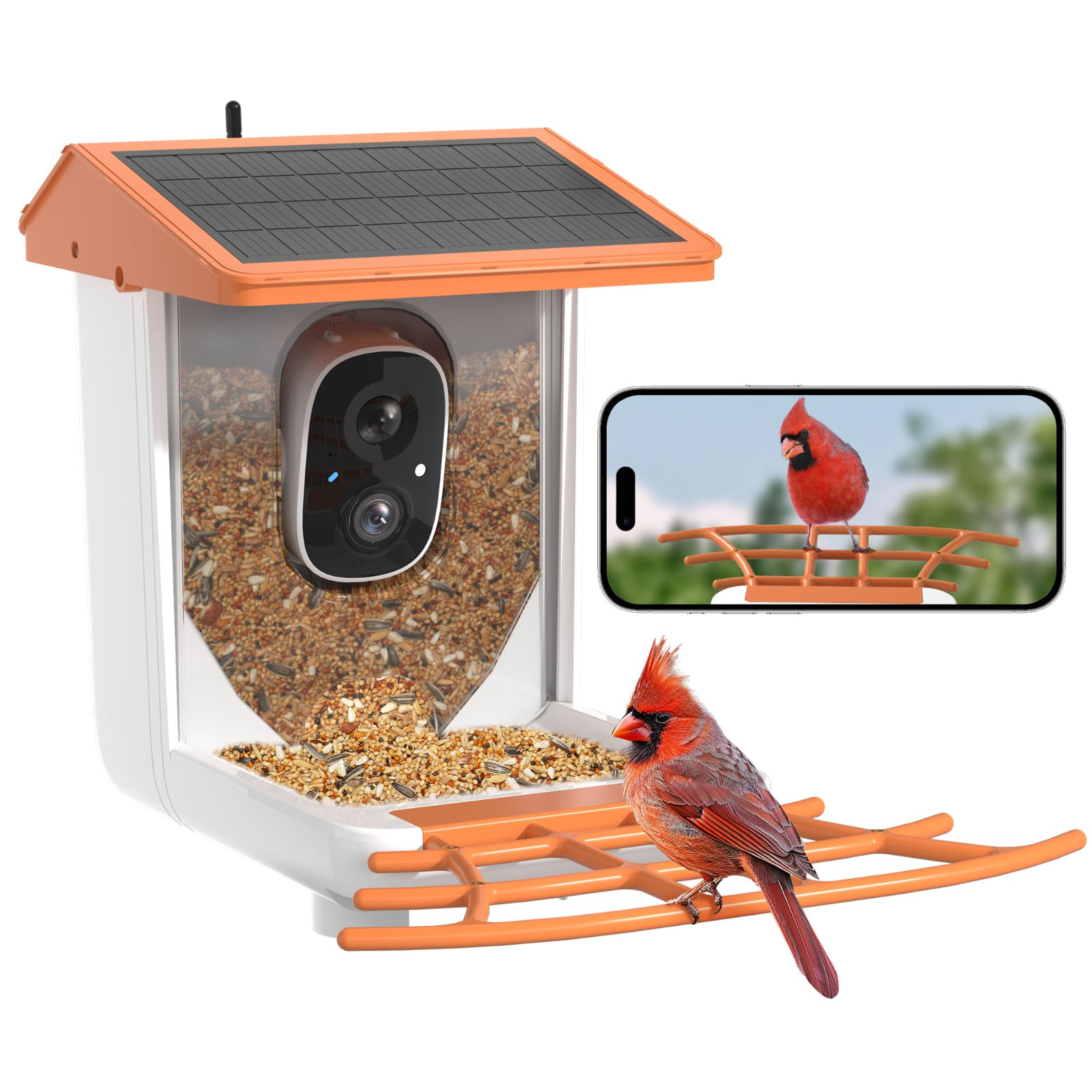 Arlmont & Co. Aricin Hanging Hopper Bird Feeder | Wayfair